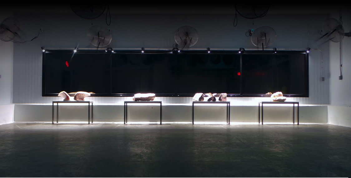 Prime Food Distributor | Create, Connect, Celebrate – primefooddistributor